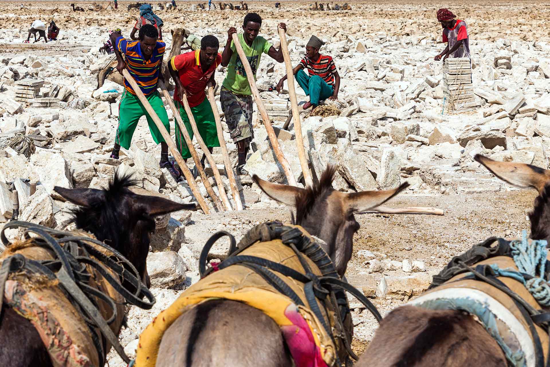 Ethiopia - Poly PhotographyPoly Photography